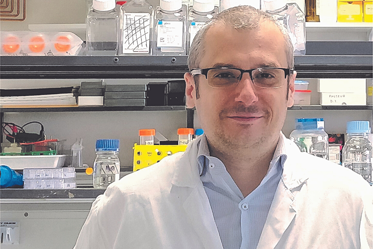 Alla ricerca di una strategia per manomettere il metabolismo delle ...