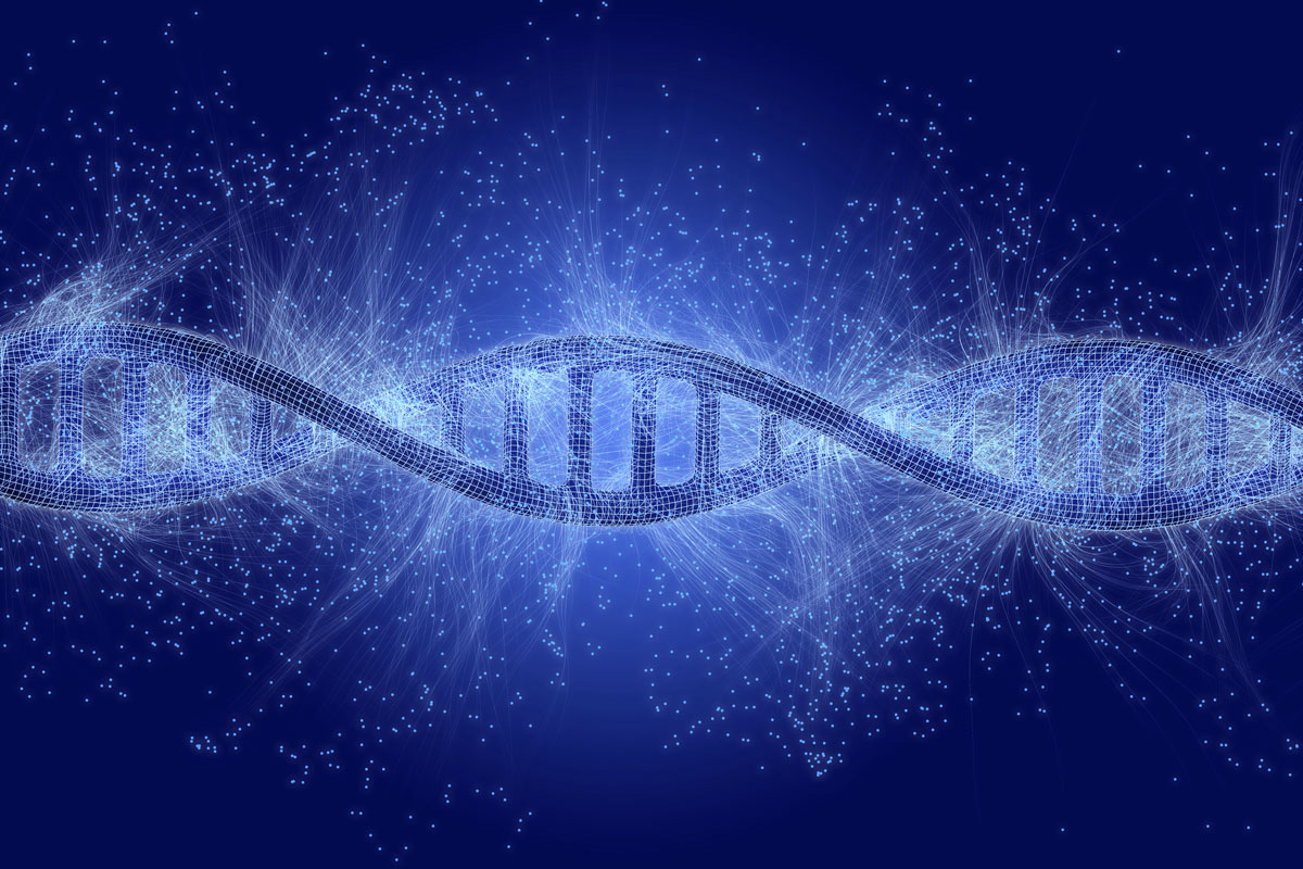 Pan-Cancer Analysis of Whole Genomes