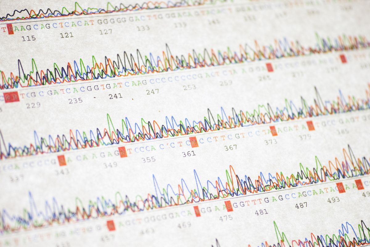 La lettura del Genoma: Il Sequenziamento del DNA | AIRC