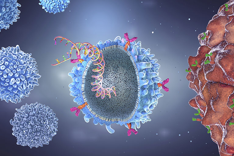 La somministrazione di cellule modificate è realtà